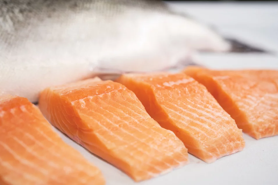 Saumon transgénique: pour le meilleur et pour le pire? – Le Point ...